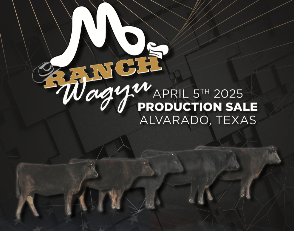 Cattle Sale | Alvarado, TX — M6 Ranch